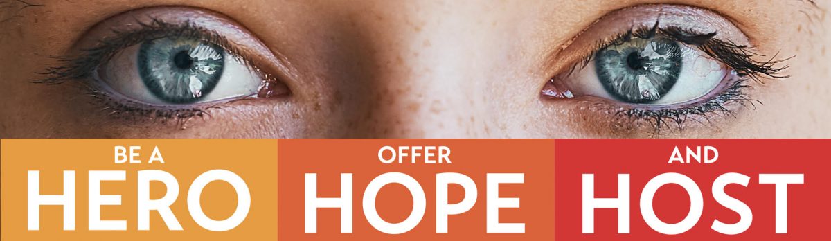 3 Bridge Solution – Supported lodgings for young people